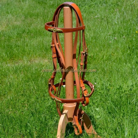 Bridon portugais PEDRO LOPES "Rosa"