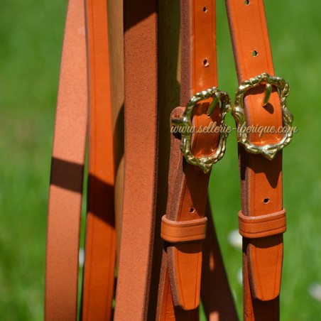 Bridon portugais PEDRO LOPES "Rosa"