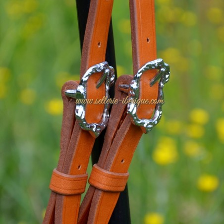 Bridon portugais PEDRO LOPES "Rosa"