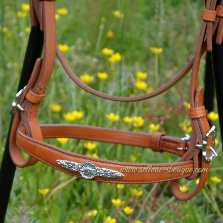 Bridon portugais PEDRO LOPES "Rosa"