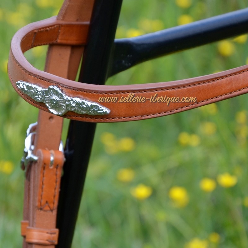 Bridon portugais PEDRO LOPES "Rosa"